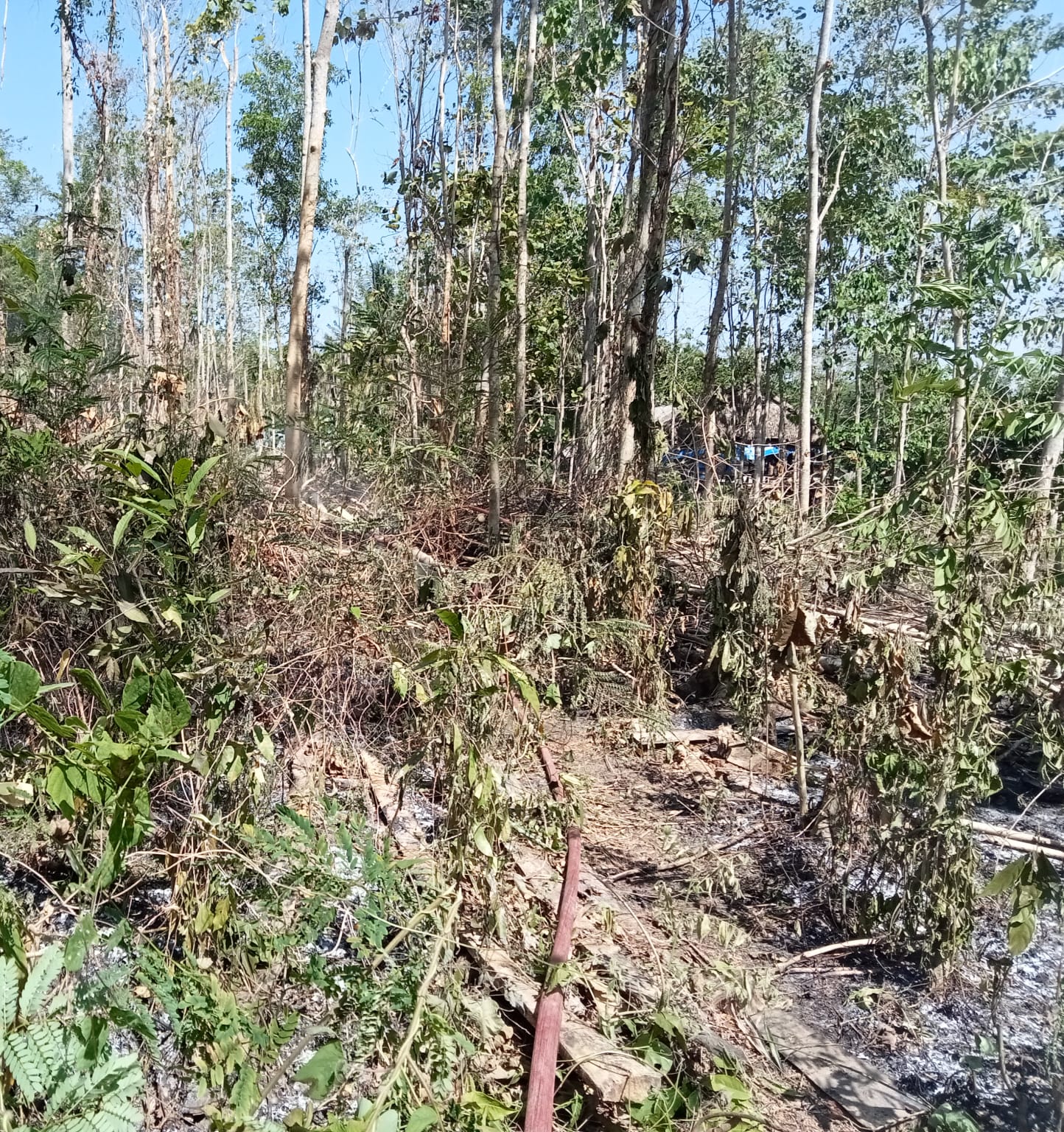 Si Andalan BPBD Provinsi Sulawesi Selatan | Si-Andalan